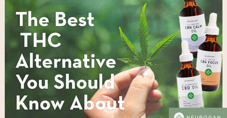 The Best THC Alternatives | Cannabinoid Substitutes – Neurogan