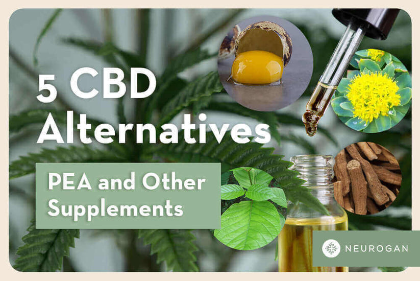 CBD Alternative Supplements | PEA & Other Supplements – Neurogan