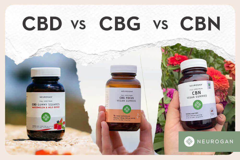 CBD vs CBG vs CBN | Difference Between 3 Cannabinoids – Neurogan