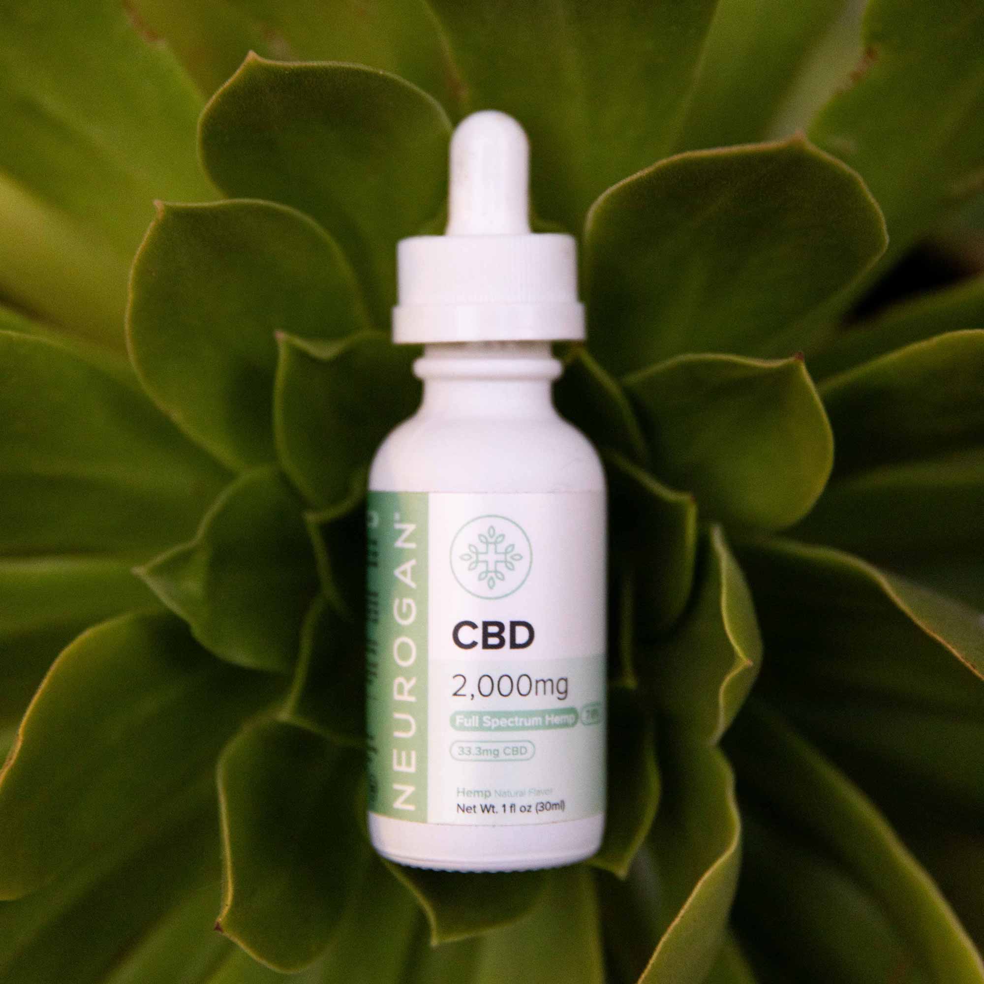 2000MG CBD Oil | Full Spectrum, Best Seller – Neurogan