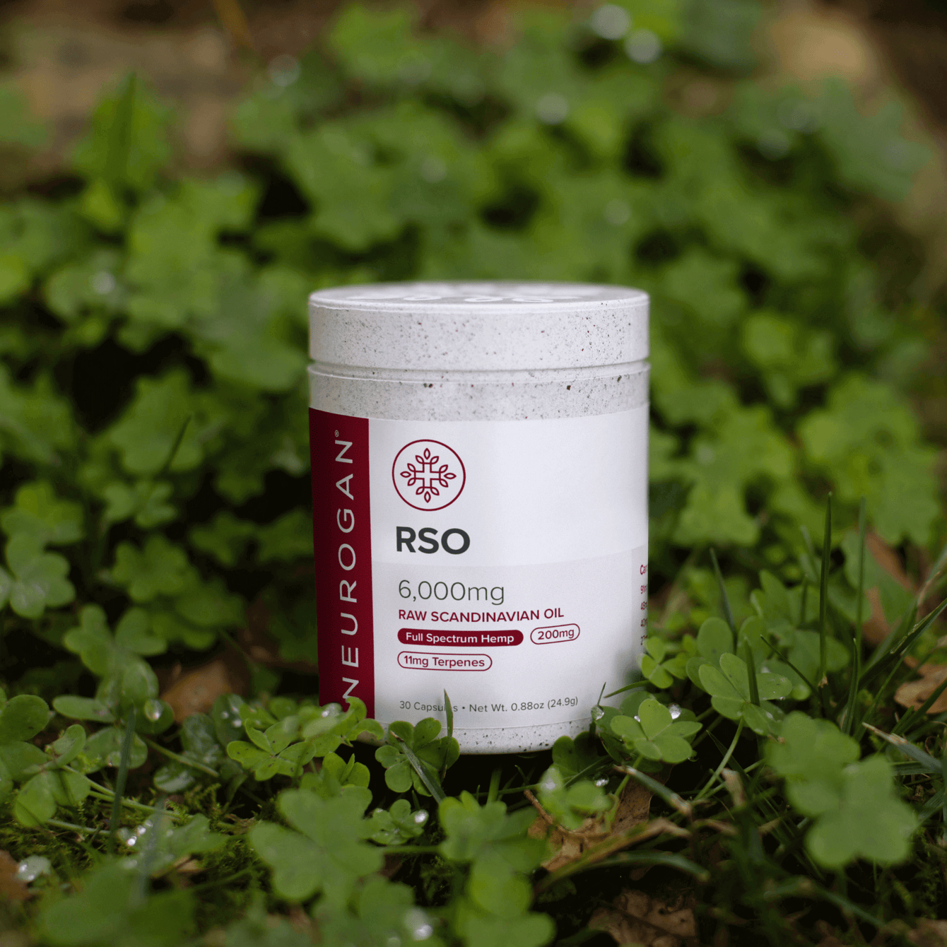 RSO Capsules - Rick Simpson Oil Caps – Neurogan