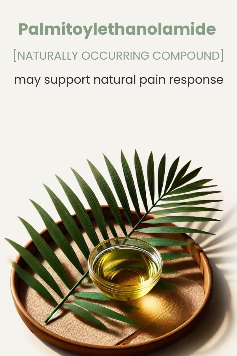 THC Capsules | Cannabis Relief Pills | PEA Included