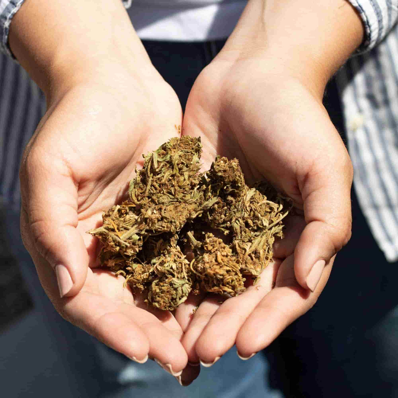 Delta 9 THC Flower for Sale | Legal In All 50 States | Neurogan