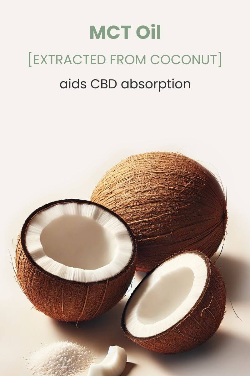 2000MG CBD Oil | Full Spectrum Hemp Extract Tincture